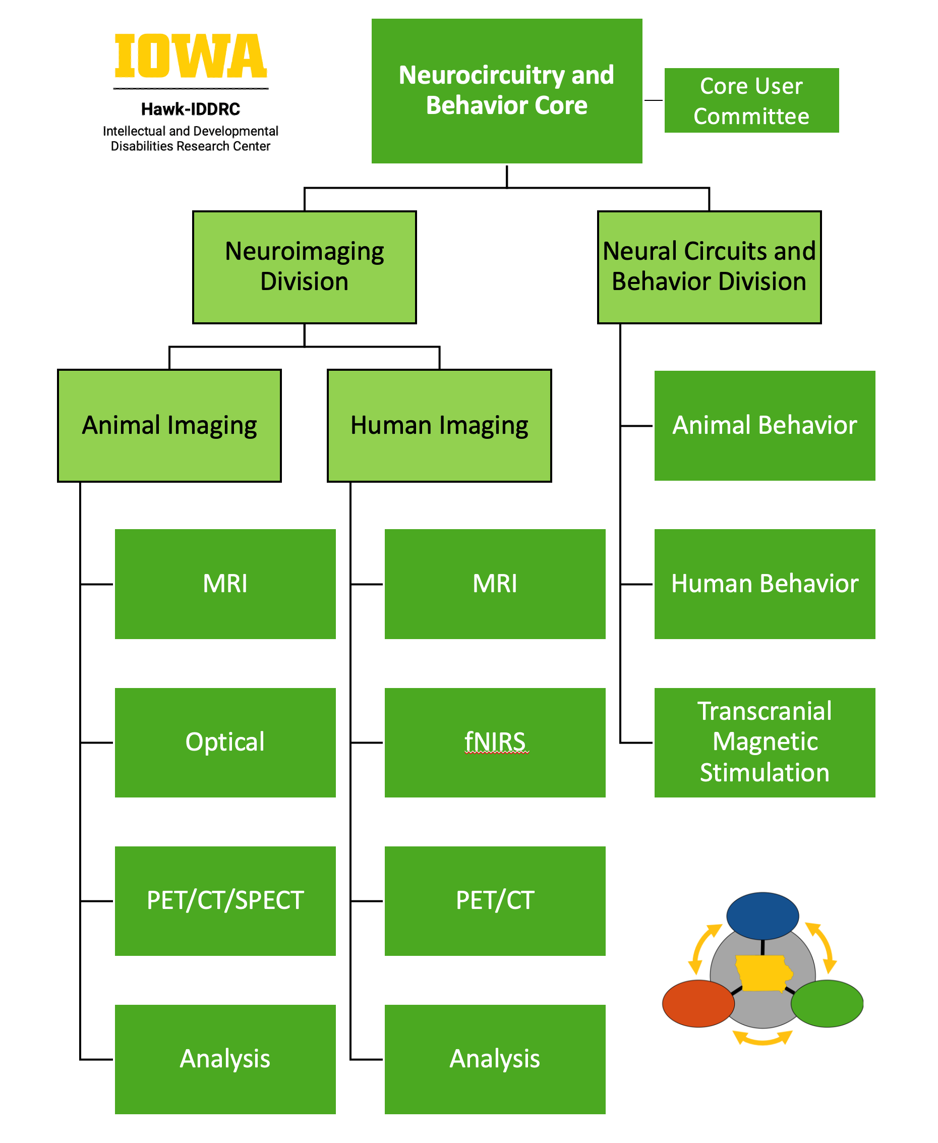 Neurocircuitry and Behavior Core | Iowa’s Hawkeye Intellectual and Developmental Disabilities ...